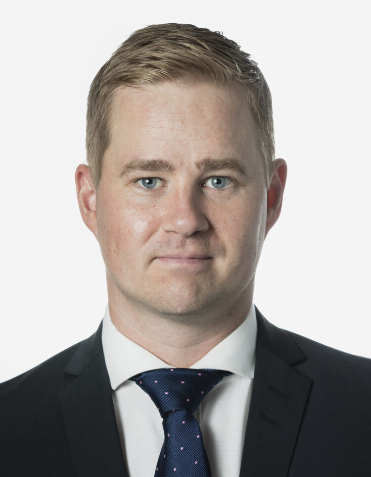 Kotimaan asioiden neuvonantaja - Presidentti